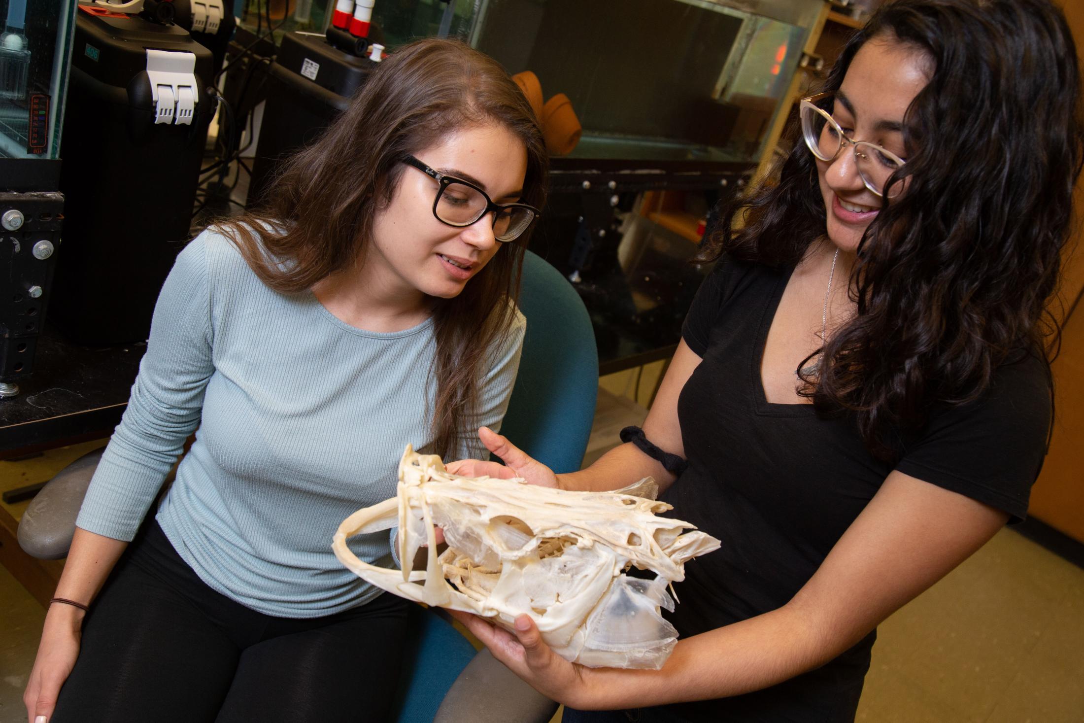 How Does a Fish Get Its Shape? Students Explore Smithsonian National ...