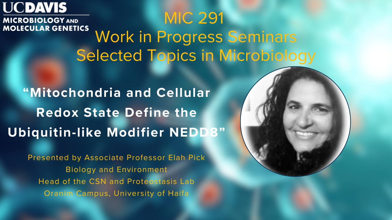 MIC 291 Seminar: Dr. Elah Pick presents: "Mitochondria and Cellular ...