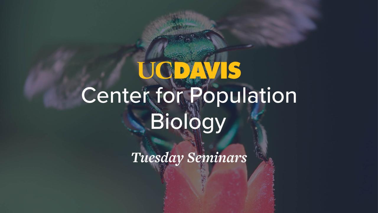 CPB Tuesday Seminar: Peter Coggan | College of Biological Sciences