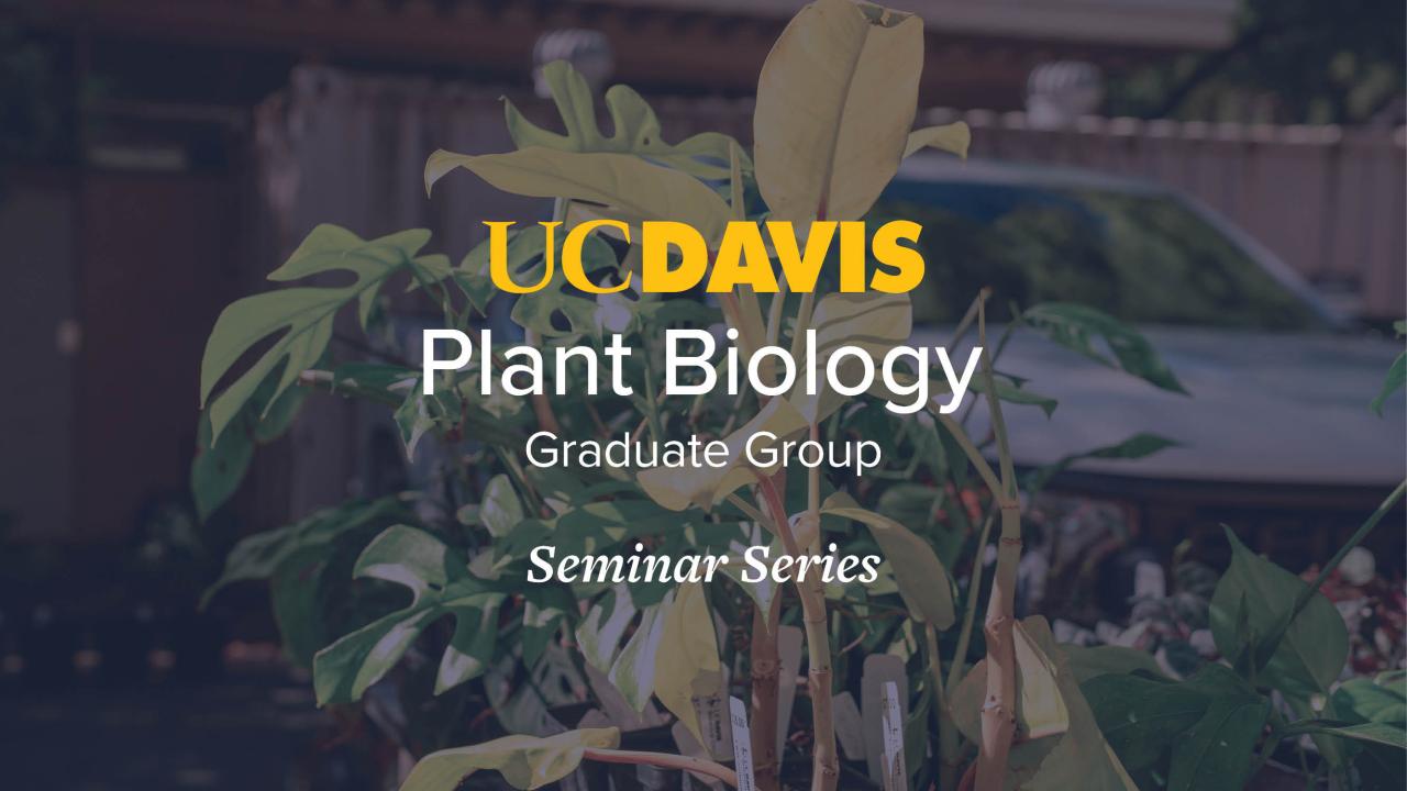 PLB Graduate Group Tuesday Seminar: Ashley Chrisman | College of ...